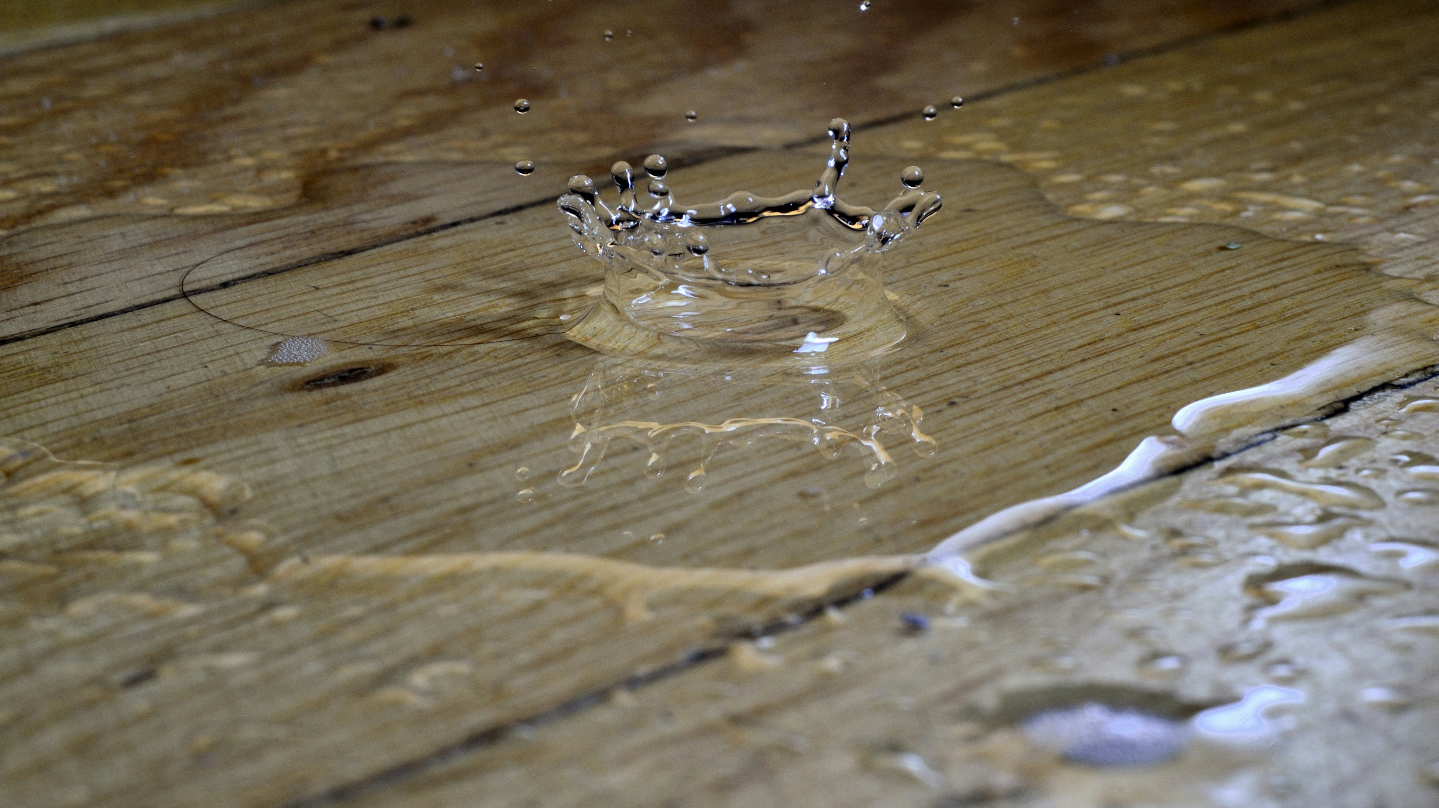 Why Professional Water Extraction Saves You Thousands in Repairs